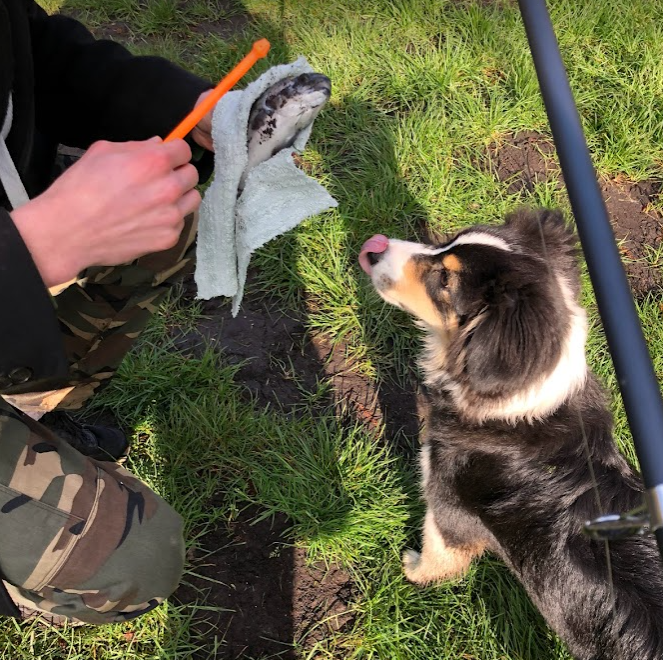 fishing-saita-and-fish – manchester: on the road